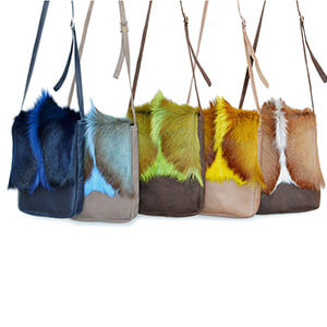 African Creative :: Springbok Collection